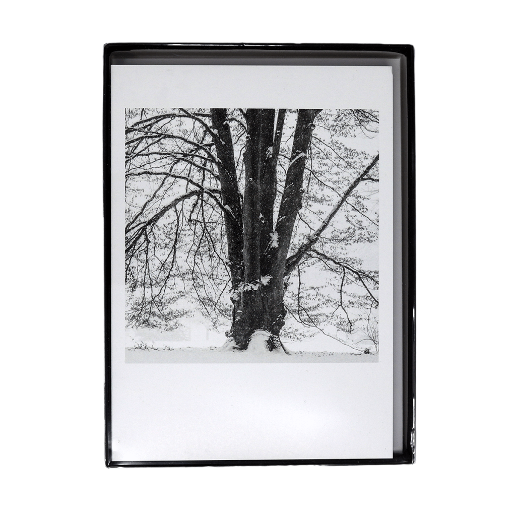 Beech Grove Note Cards - LancasterHistory