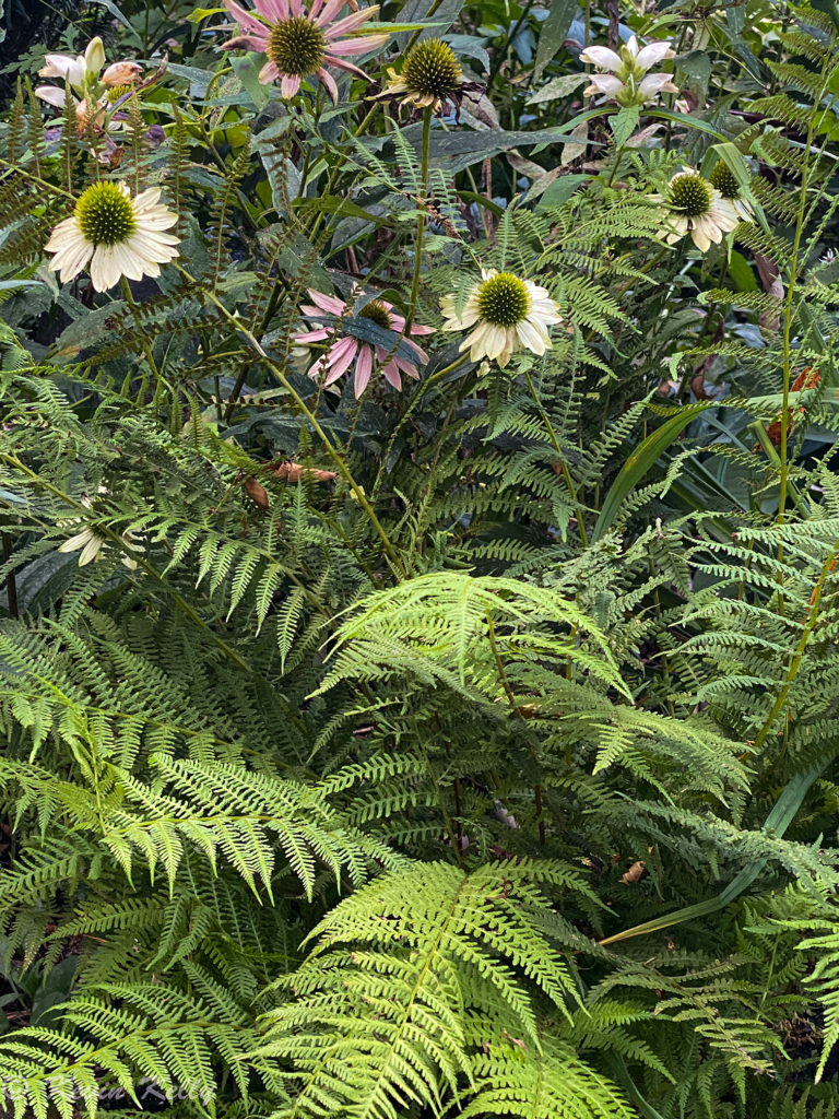 Annual Dinner of the Friends of the Tanger Arboretum - LancasterHistory